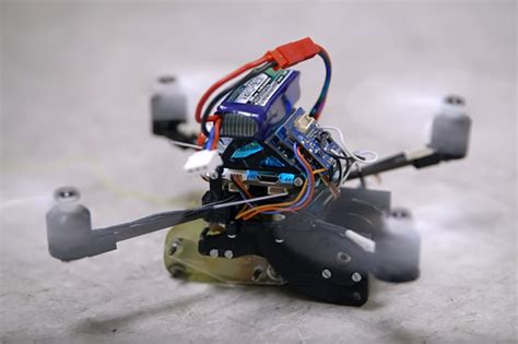 Tiny Flying Robots Can Carry Loads 40 Times Their Weight