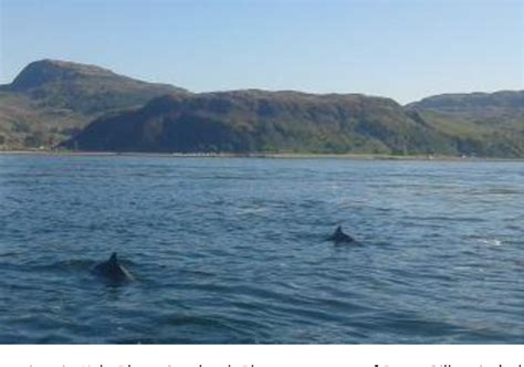 Figure 1 From Evaluation Of A Drifting Porpoise Localising Array Buoy A Novel Configuration