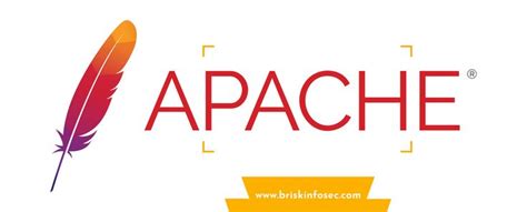 Command Execution Attacks On Apache Struts Server Cve 2017 5638 Execution Apache Command
