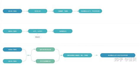 非靶向代谢组学是什么？怎么分析？代谢组学图怎么看？ 知乎
