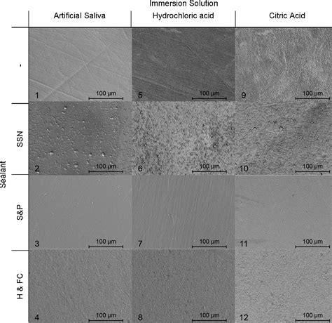Figure 1 From Long Term Protective Effect Of Surface Sealants Against