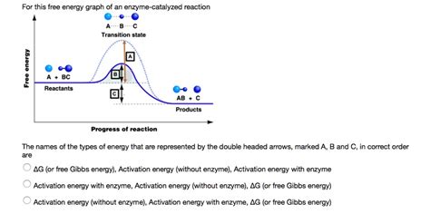 For This Free Energy Graph Of An Enzyme Catalyzed Reaction Transition