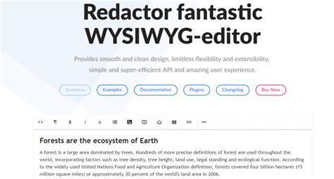 Best JavaScript HTML WYSIWYG Editor OnAirCode