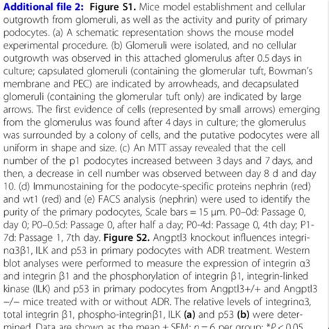 Abbreviations Angptl3 Angiopoietin Like3 Bun Blood Urea Nitrogen