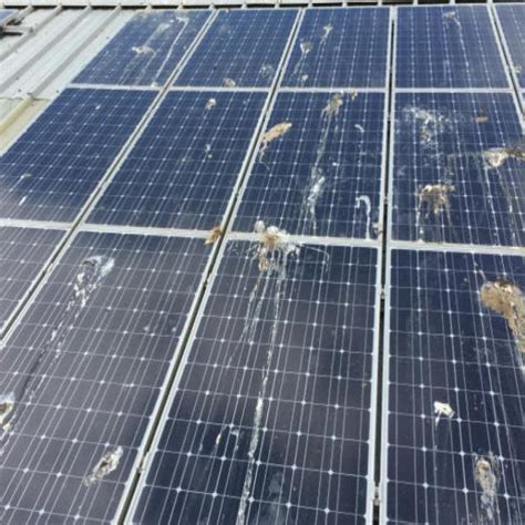 Solar Image Segmentation Instance Segmentation Dataset And Pre Trained Model By Sai