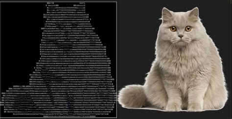 Francis Jonathan Lloyd On Linkedin I Created A Small App To Convert