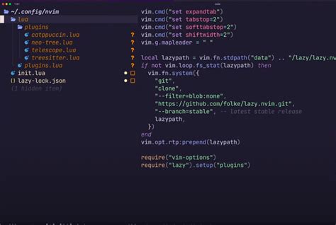 How To Open Files Structure And Codes On A Window Of Vim Rvim