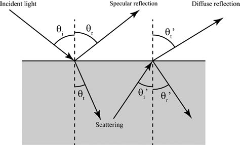 Examples Of Both Specular And Diffuse Reflection At William Christy Blog