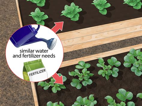 4 Easy Ways To Fix Root Rot Wikihow