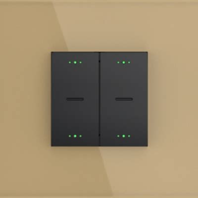 Dual Channel Smart Relay Switch With Scheduler Safety Features