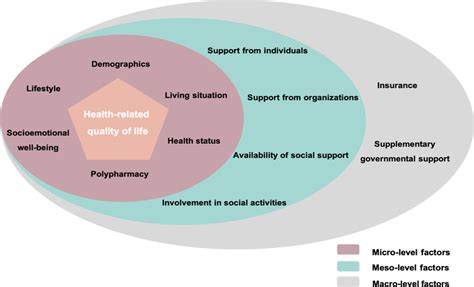 Health Related Quality Of Life Conceptual Model Guided By Levels Of