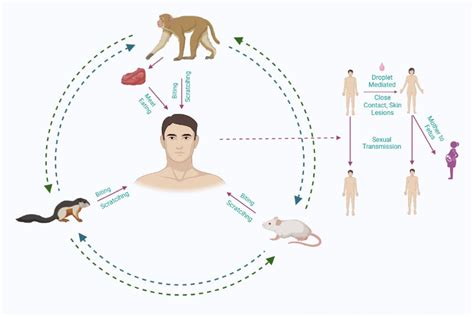 Mpox Rwanda Biomedical Centre