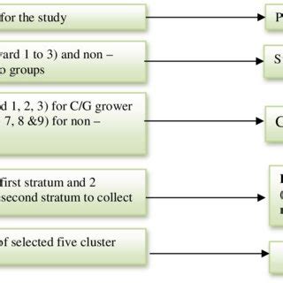 Multi Stage Sampling Strategy Download Scientific Diagram