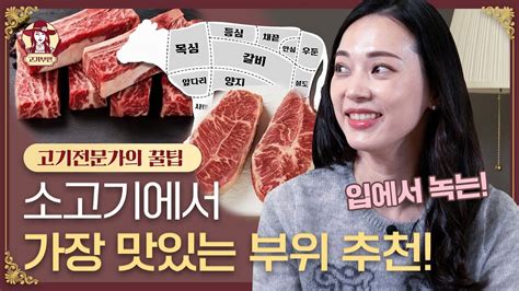 소고기 등심 안심 갈비 가장 맛있는 부위는~ Youtube