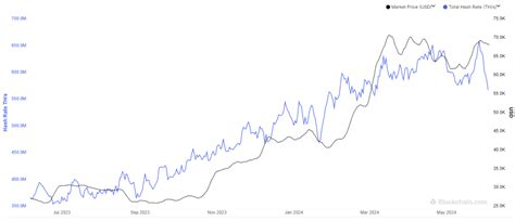 Bitcoin Hashrate Just Saw Its Biggest Crash Since China Ban