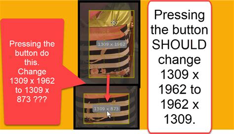 Switch Crop Between Portrait And Landscape Orientation Button Crop To Wrong Size · Issue 14604