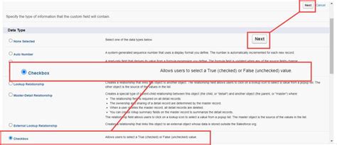 Salesforce Checkbox Default Value