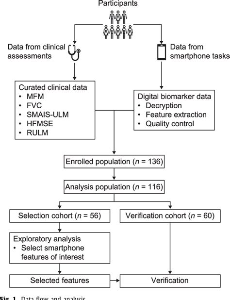 Figure 1 From Digital Measures Of Respiratory And Upper Limb Function In Spinal Muscular Atrophy