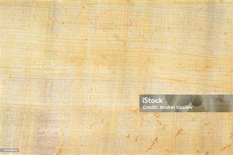 실제 이집트 파피루스 종이 배경 및 질감 번호 1 매크로를 닫습니다 갈색에 대한 스톡 사진 및 기타 이미지 갈색 개성 개념
