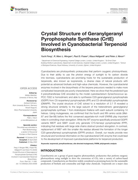 Pdf Crystal Structure Of Geranylgeranyl Pyrophosphate Synthase Crte Involved In