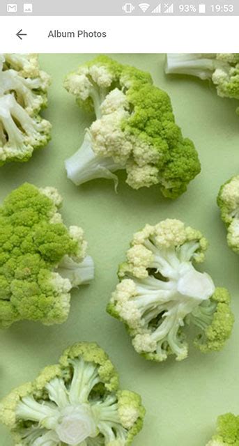 Deco Ui Kit Multi Purpose Starter Ionic 6 App Template Angular 13 Sass Firebase By Decoui