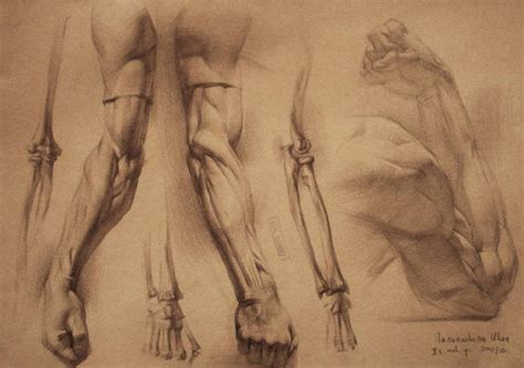 列宾美院素描作品欣赏