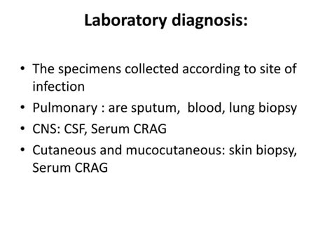Cryptococcus Pptx Cryptococcus Pptx