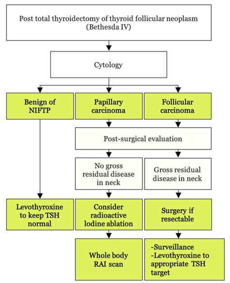 National Comprehensive Cancer Network Algorithm Of Follicular Thyroid Download Scientific