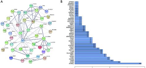 Construction Of Ppi Networks A Construction Of Interaction Network Download Scientific