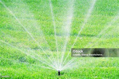 봄이나 여름에 워터 제트가있는 밝은 녹색 잔디밭에 워터 제트를 뿌리는 자동 잔디 스프링클러는 야외 사진을 닫습니다 급수 및 관개 장비 시스템 관리 및 유지 보수 가정 생활에