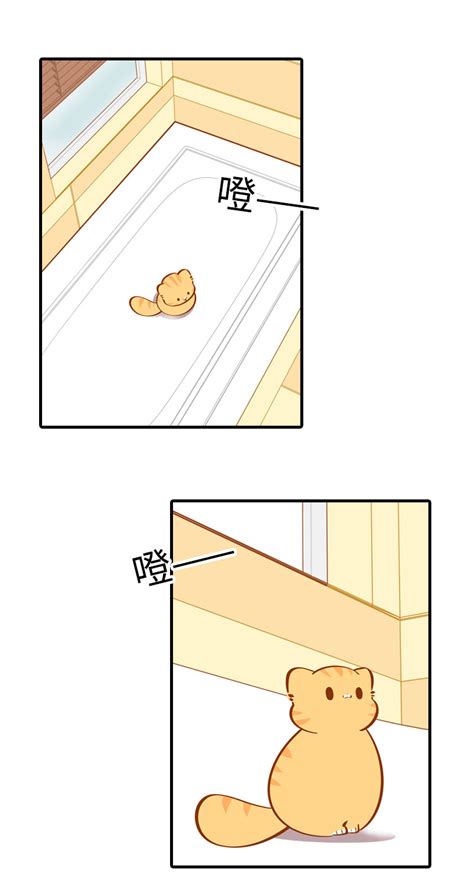 第30話 一年一度洗澡日 貓咪的人類飼養指南 包子漫畫