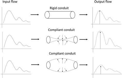 Modulation Of Pulsatile Flow Through Rigid Top And Compliant Bottom Download Scientific