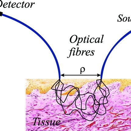 Figure No 3 Local Diffuse Reflectance Schematic Setup Download Scientific Diagram