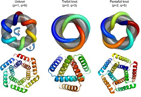 Protein Structure Pictures