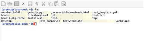 Inconsistent Whitespaces In Shell Mode Remacs