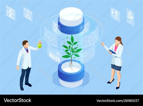 Lab Vector Solved Nume Dale Period Virtual Lab Vectors And Vector