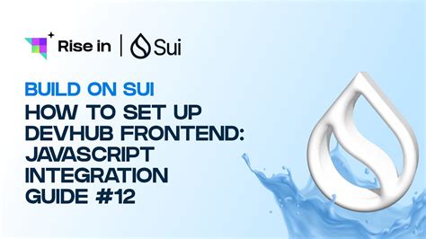 How To Set Up Devhub Frontend Javascript Integration Guide 12 Build On Sui Youtube