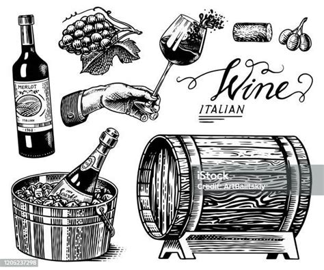 와인 세트입니다 손에 알코올 음료 스파클링 샴페인 병 및 유리 건배 얼음 양동이 나무 통 포도 코르크 나사 올리브 코르크 바 레스토랑 메뉴를 위한 스케치 가 그려져 있습니다