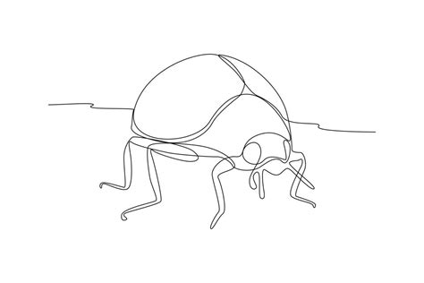 Continuous One Line Drawing Insects Concept Single Line Draw Design Vector Graphic Illustration