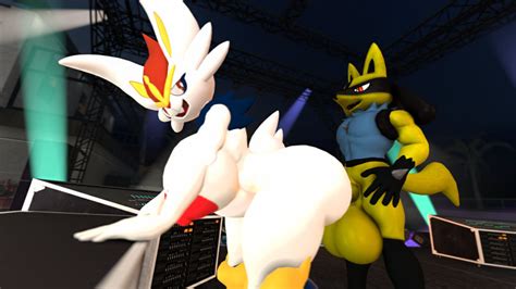 Rule 34 Big Ass Big Breasts Big Penis Breasts Bubble Butt Cinderace Huge Ass Huge Cock Lucario