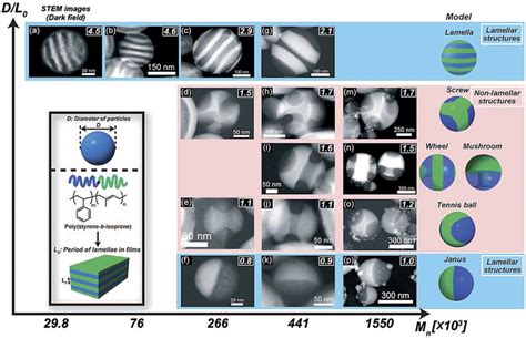 Microphase Separation Structures In Poly Styrene B Isoprene Pst Pi Download Scientific