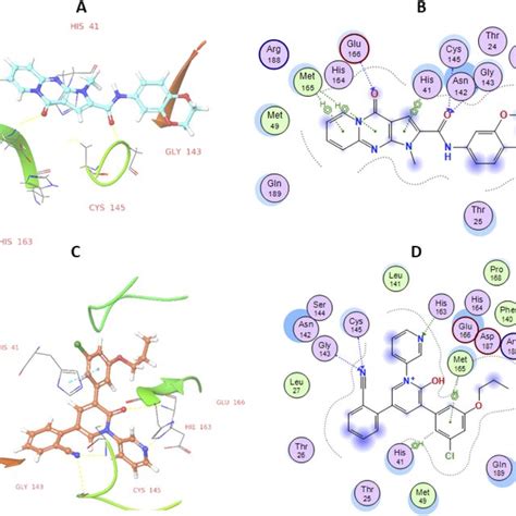2d And 3d Binding Interaction Data Of Active 29 Analog A And B Download Scientific Diagram