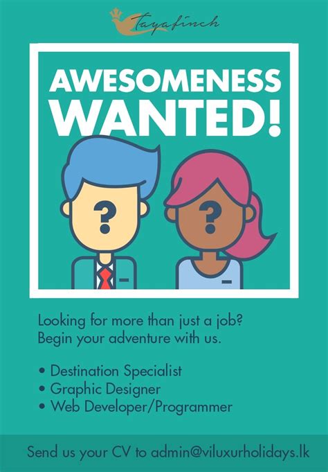 Graphic Designer Web Developer Programmer