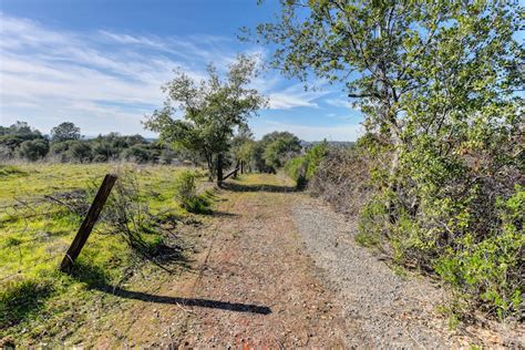 나무와 풀로 둘러싸인 비포장 도로 사진 Unsplash의 무료 길 이미지