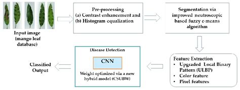 Figure 1 From Botanical Leaf Disease Detection And Classification Using