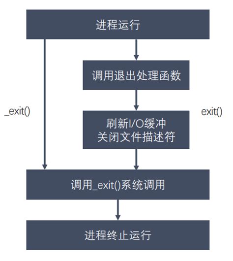 Linux多进程开发 Zhenruyi Linux多进程开发 Zhenruyi