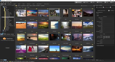بهترین نرم افزارهای نمایش عکس در ویندوز پایاتل