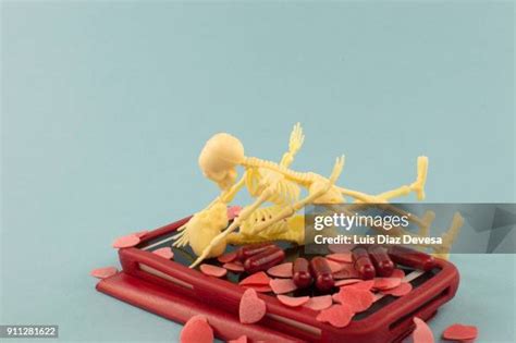 Skeleton Keyboard Photos And Premium High Res Pictures Getty Images