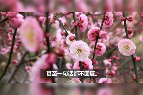 这样陪你聊微信的人，就不必再聊了