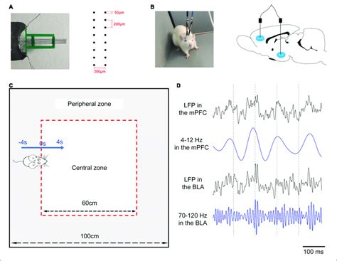 An Experimental Scheme A Left A Channel Microelectrode Array Download Scientific
